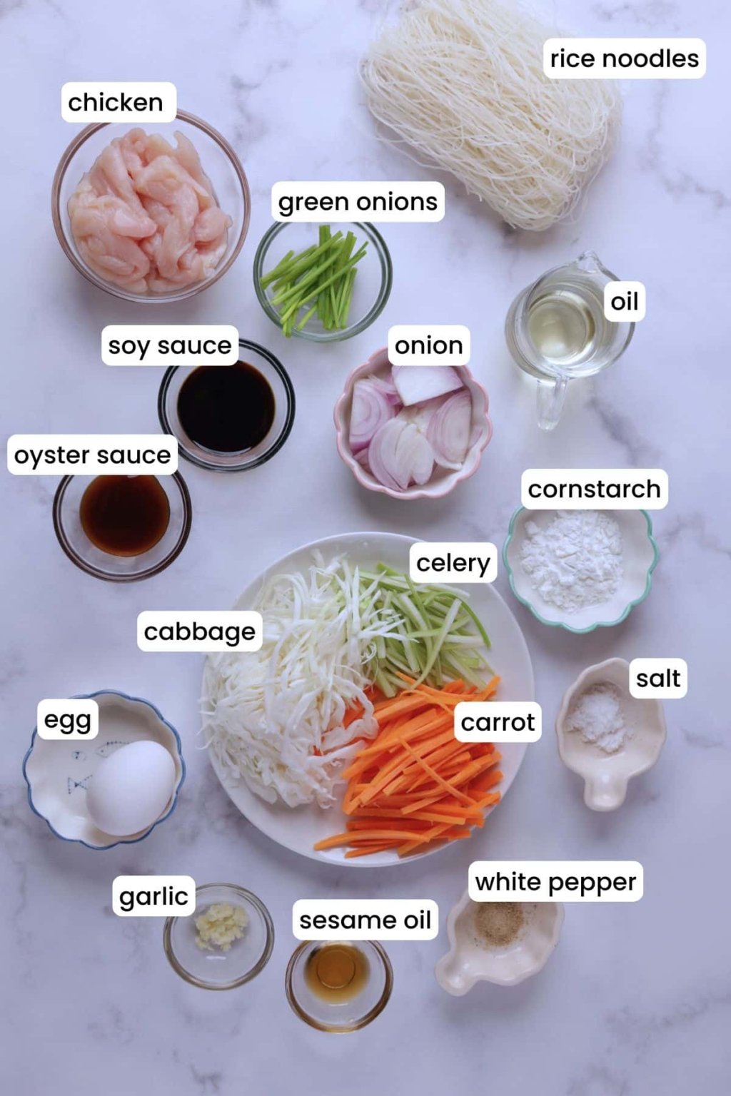 Chicken Mei Fun Home-Style Noodle Recipe - Spoons Of Flavor